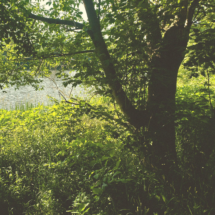 Humid Afternoon | Kind Song