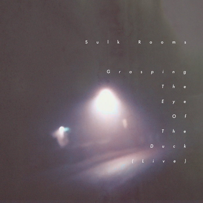 Grasping The Eye Of The Duck (Live) | Sulk Rooms