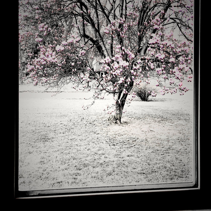 Cortland Sketches | Hilly Adler