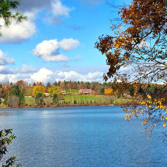 " NO CAUSE" | Doug Moore