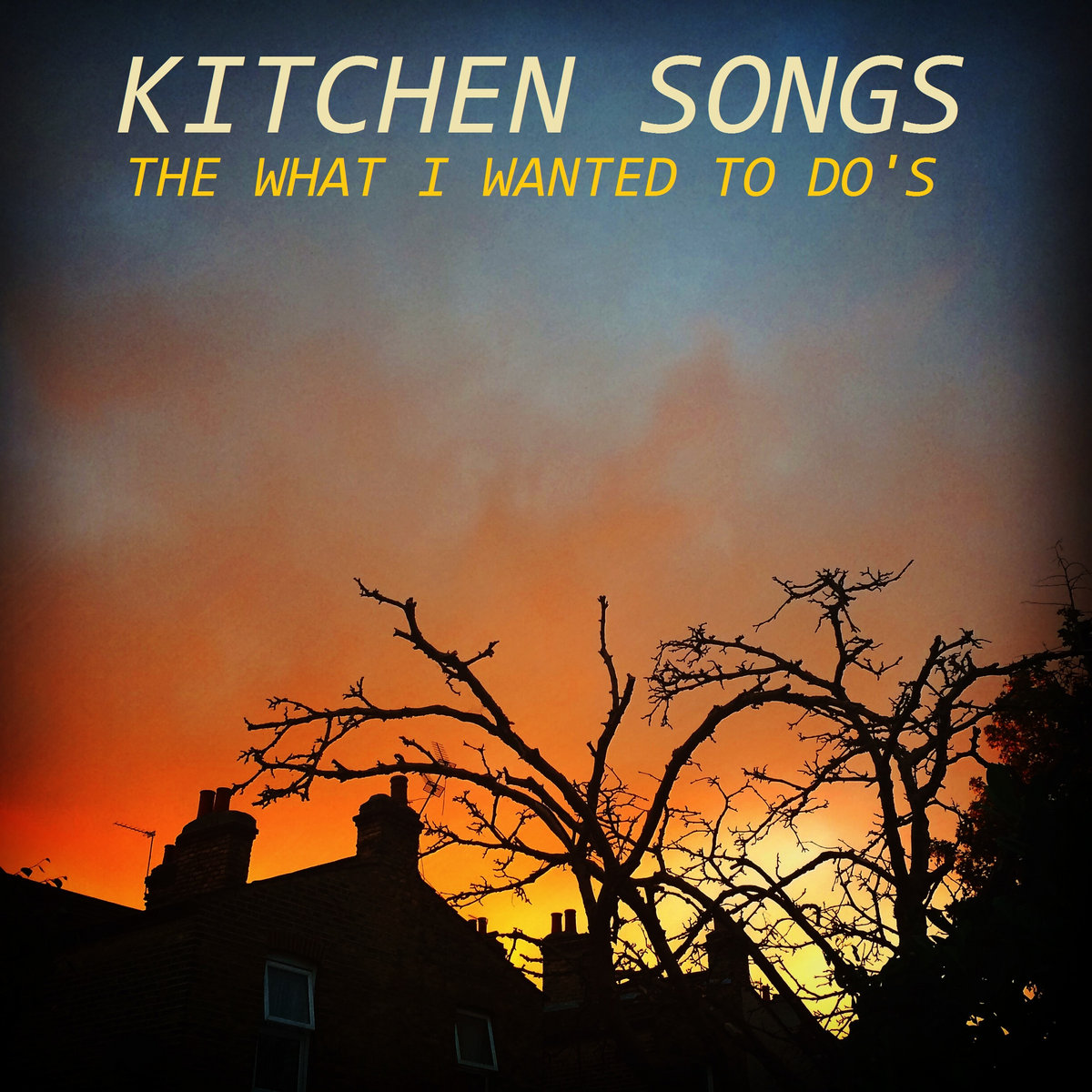 #62 Kitchen Songs | The What I Wanted To Do's