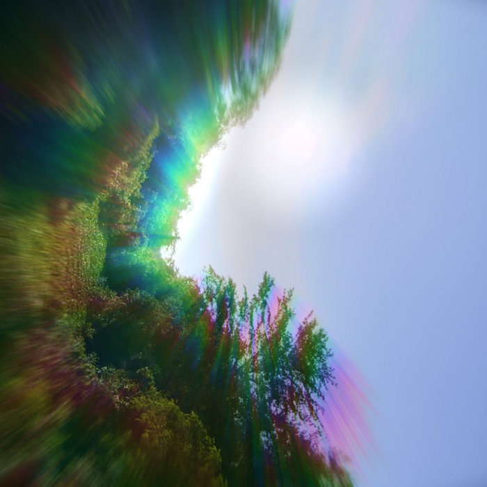 Movement Landscapes | Mervin Wong