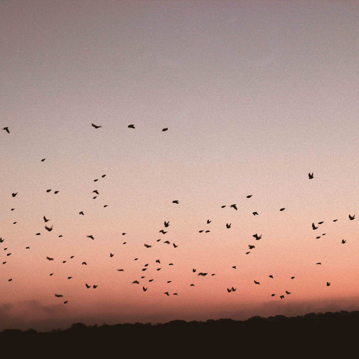 Lovestay - EP | BARRACKS