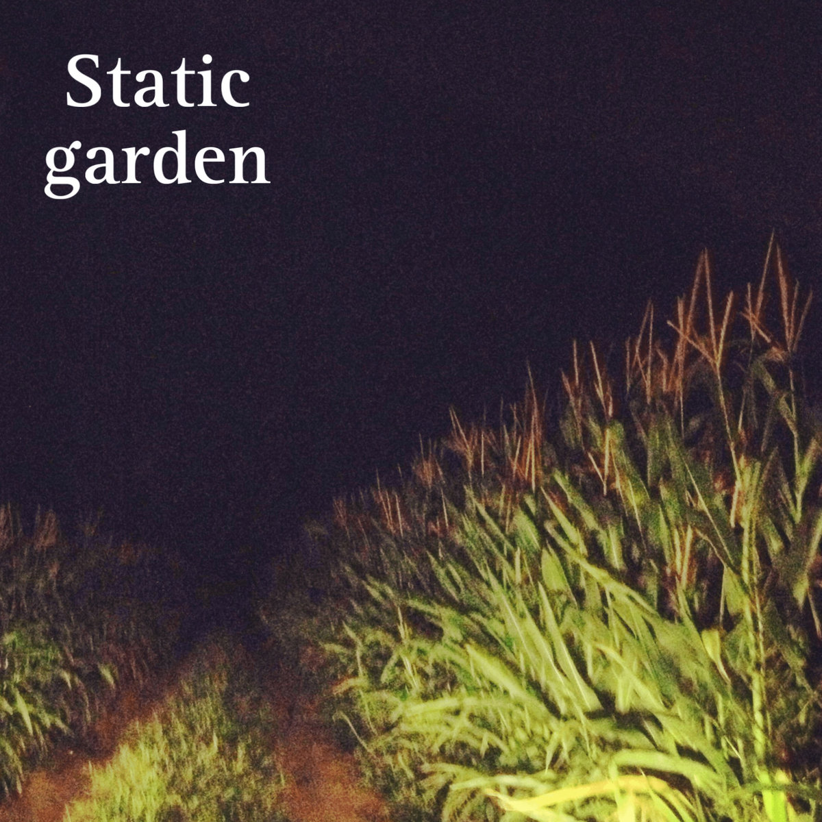 Analogue Faces (Static Garden) | Static Garden | Icepick Records