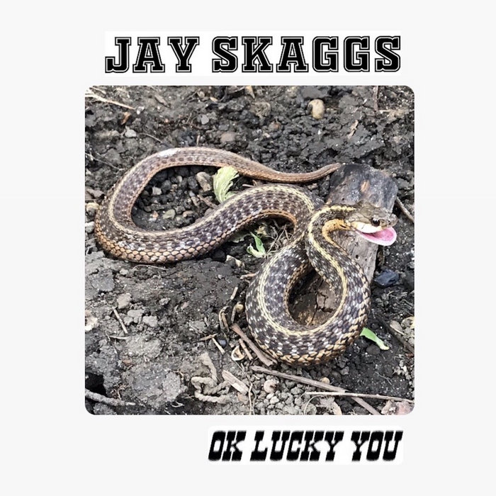 OK LUCKY YOU | JAY SKAGGS