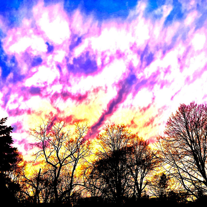 February Sun / Home | CJ Eriksen