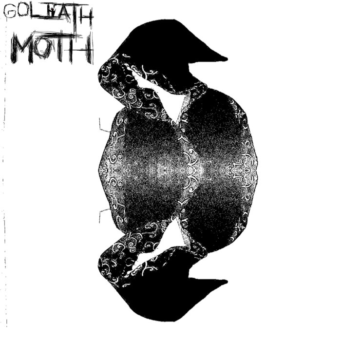 Hulking Yet Incomplete | Goliath Moth