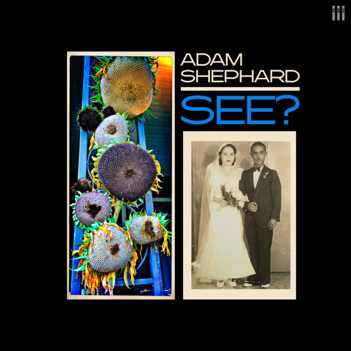 See? | Adam Shephard