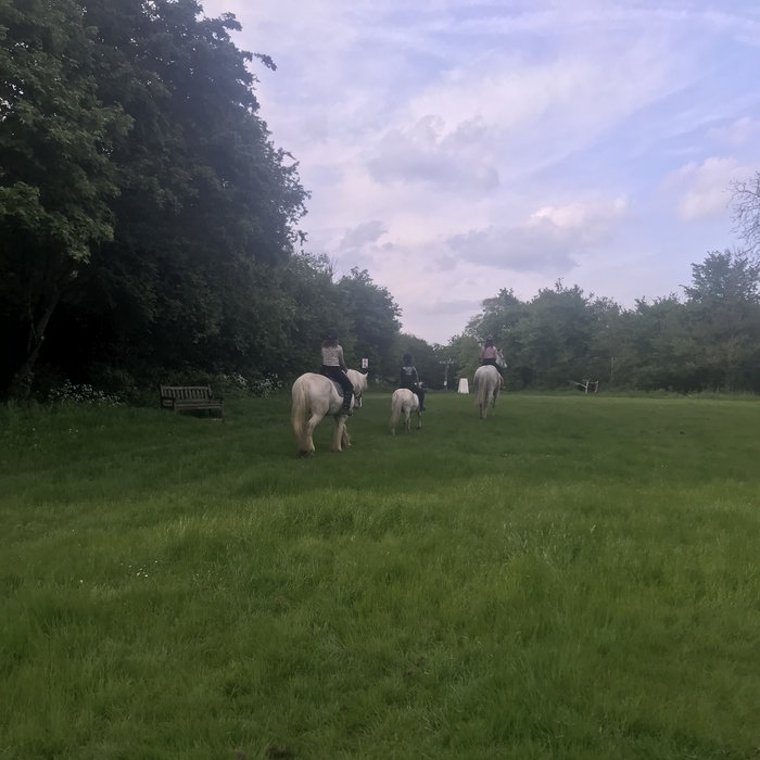 hen.hm Hits | Glutted Offal