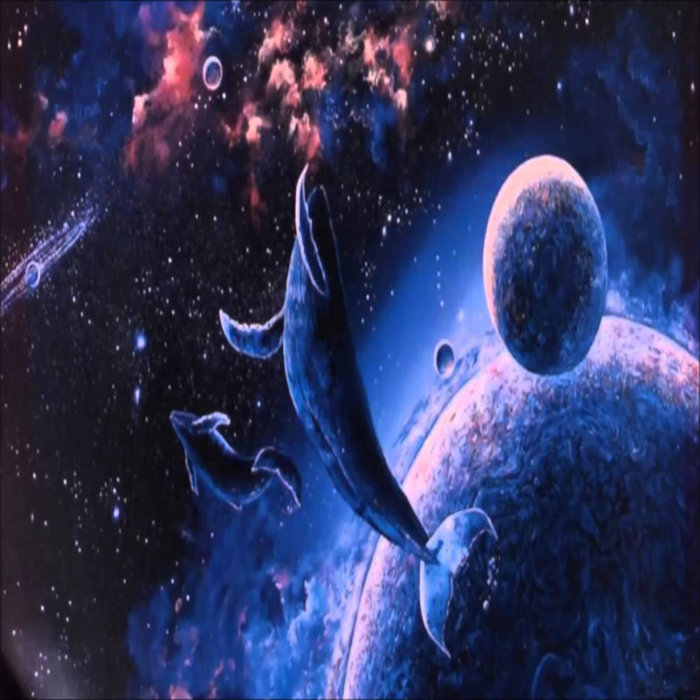 Space Dolphins | Centrik
