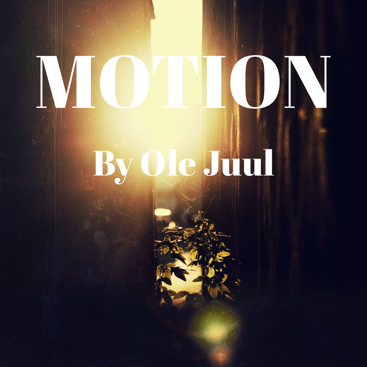 Motion | Ole Juul