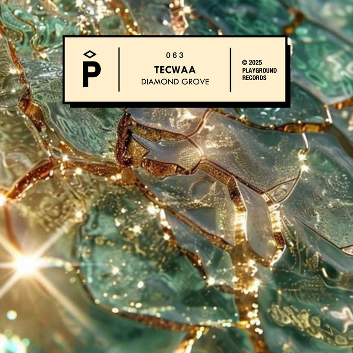 Diamond Grove | Tecwaa | Playground Records