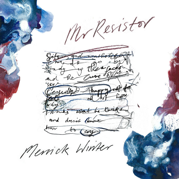 Mr Resistor | Merrick Winter