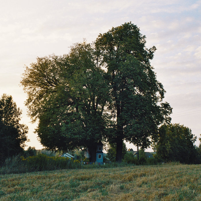 Of the End of the Season | Bruno Janiszewski