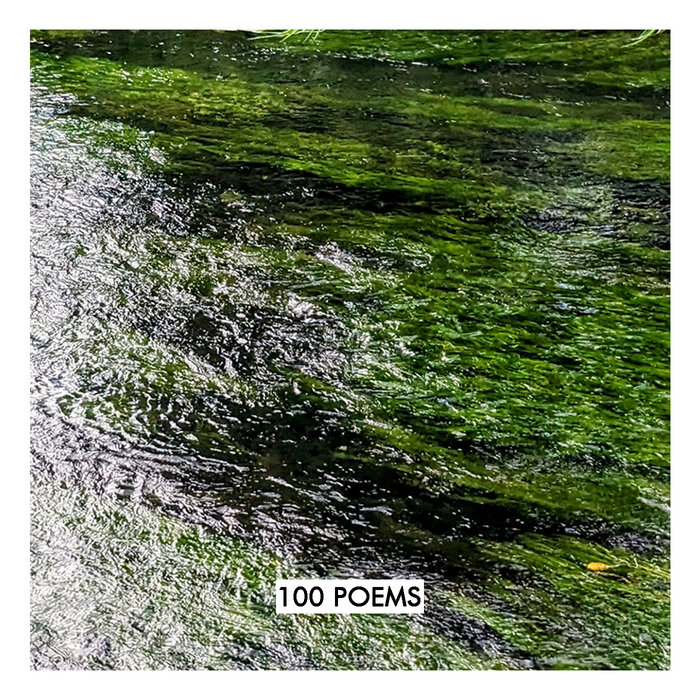 Song For Claire (Your Life Is Your Life) | 100 POEMS