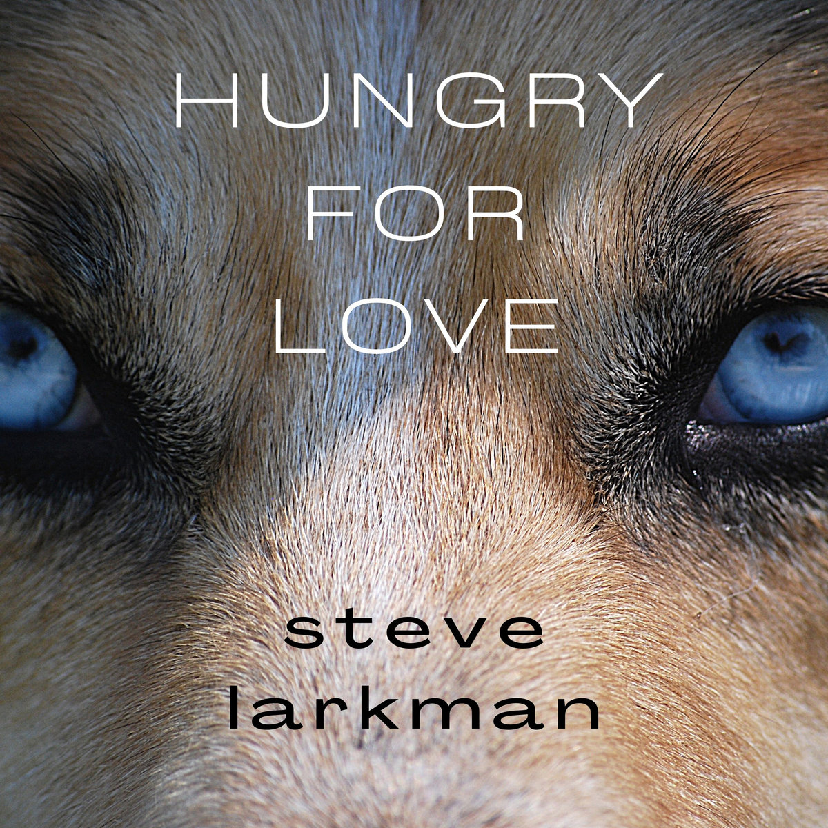 Hungry for Love - new! | Steve Larkman
