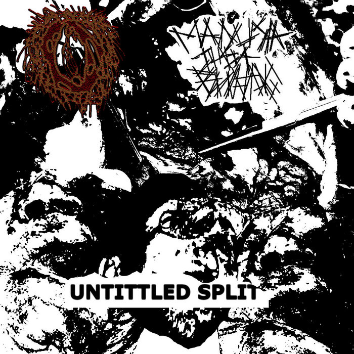[KALOF#18] UNTITTLED SPLIT | MANUSIA JUGA BINATANG / VxCxCxWxOxGxPx ...