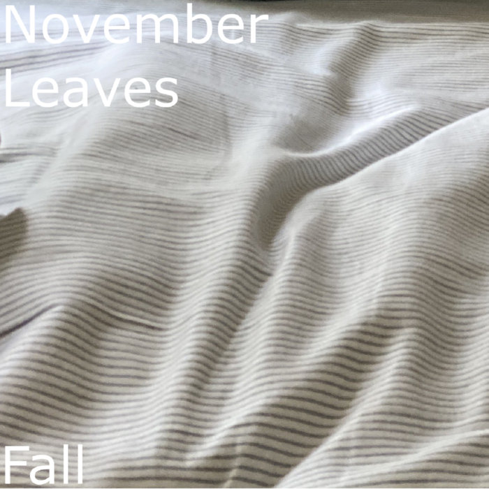 fall | November Leaves