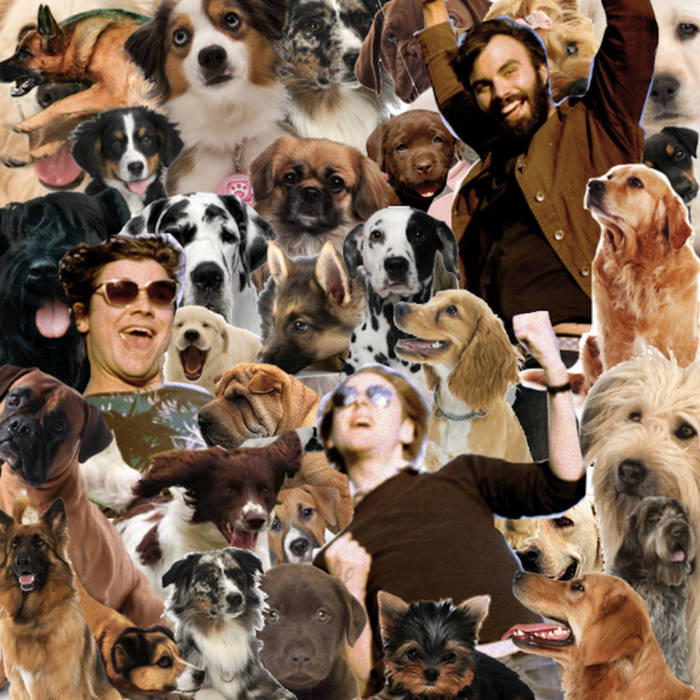 Why Do Dogs Get So Many Boners