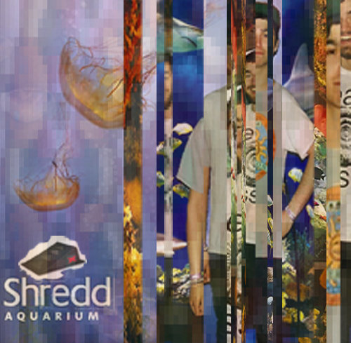 Shredd Aquarium | Colby Bryant