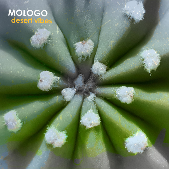 Desert Vibes | Mologo