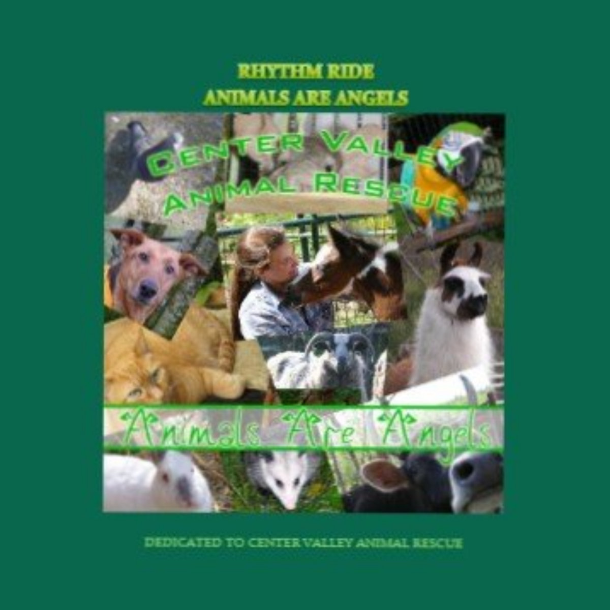 Animals Are Angels | Rhythm Ride