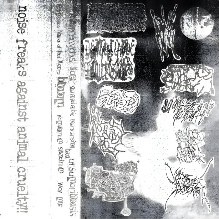 Noise Freaks Against Animal Cruelty!! 11 Way Split (GxPx Side ...