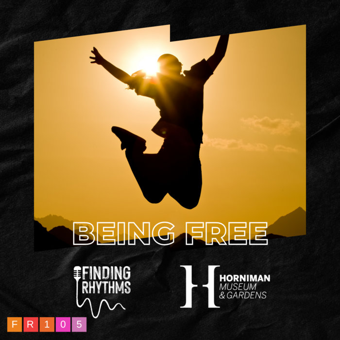 Being Free | Finding Rhythms & The Horniman Museum | Finding Rhythms
