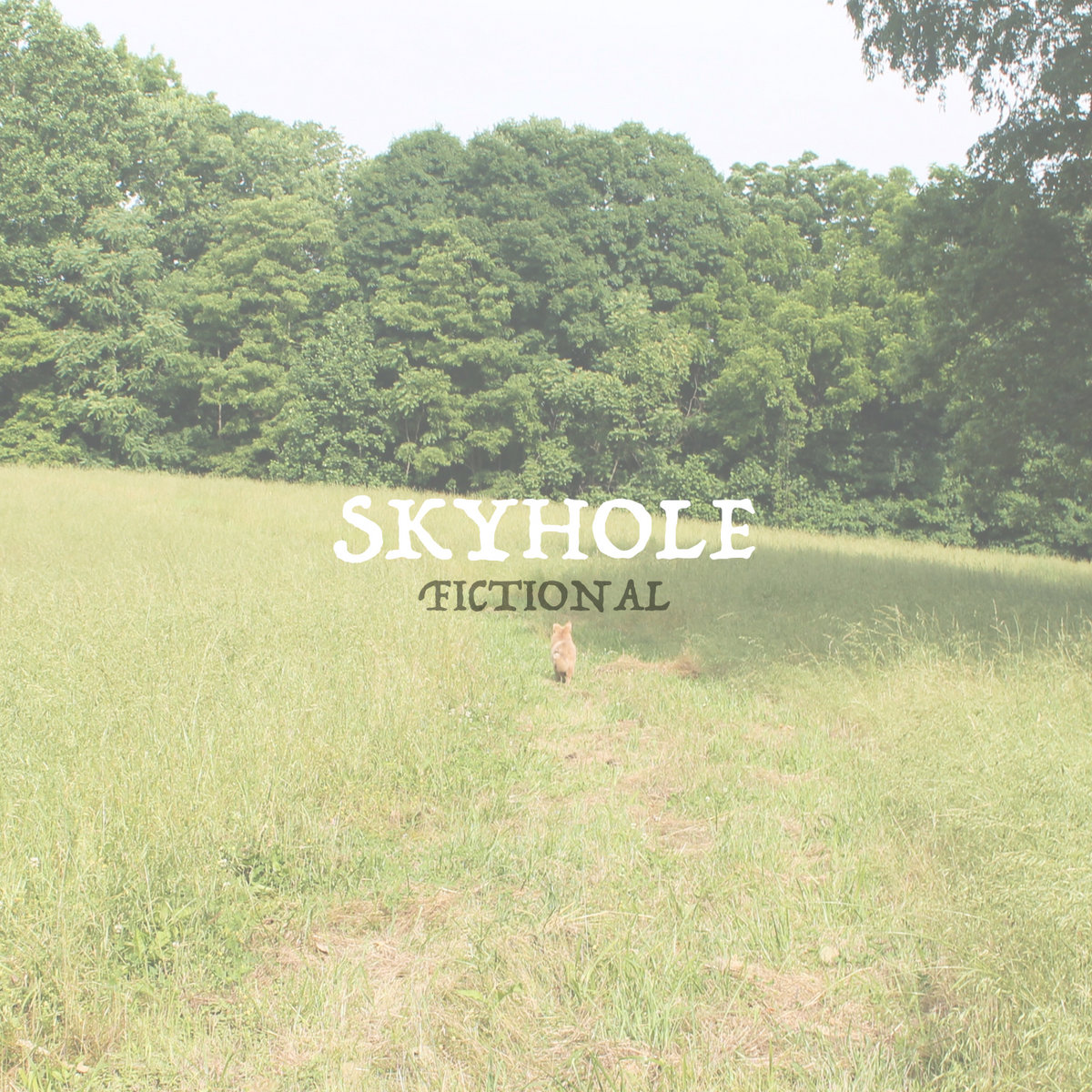 fictional | SKYHOLE | DORCAS MORTON