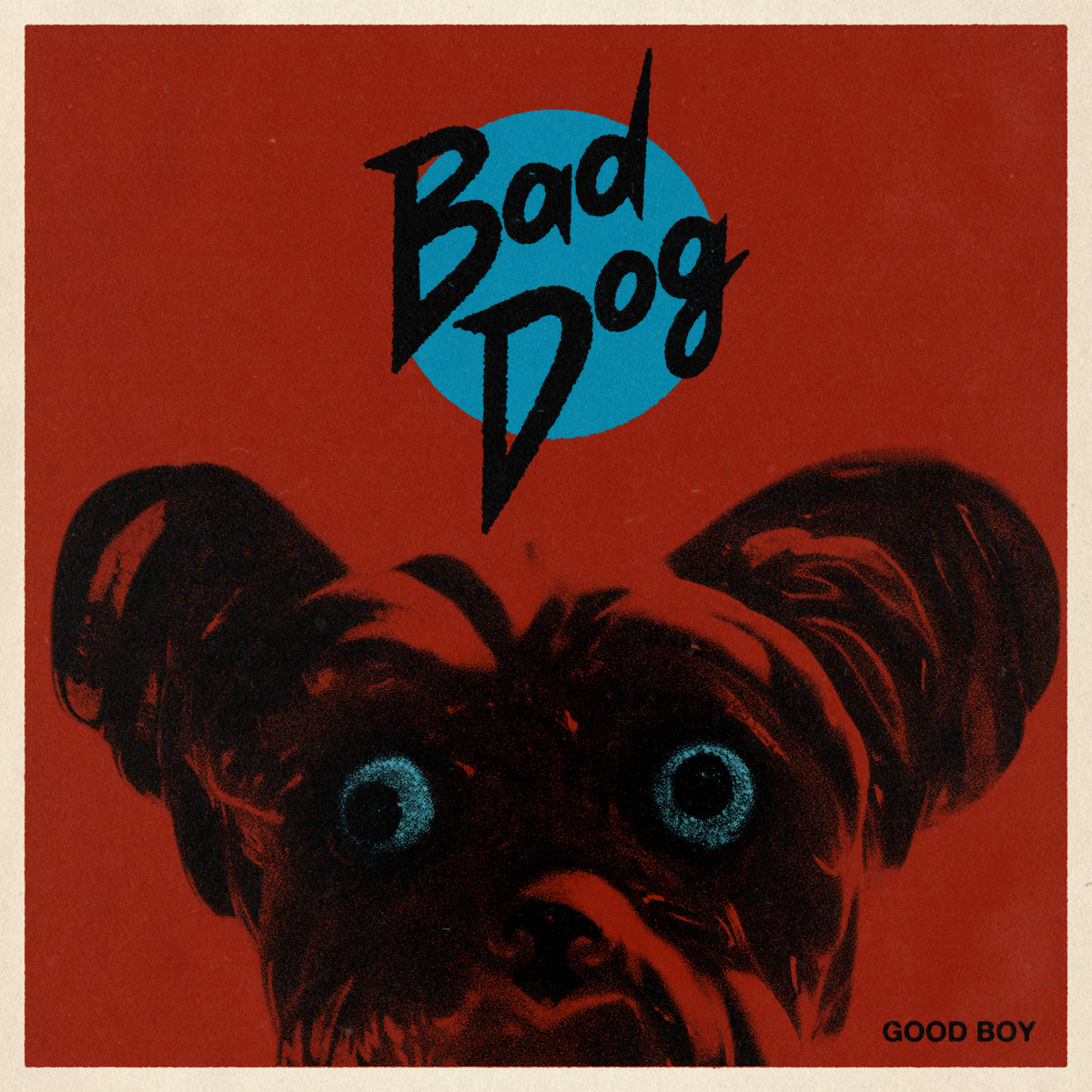 good-boy-bad-dog