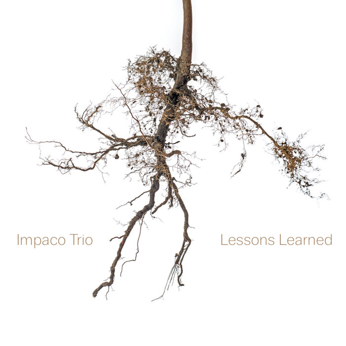 Lessons Learned | Impaco Trio