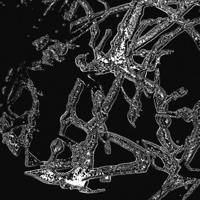 surwa mehterhane | ophelia and niur | Emerging Technology