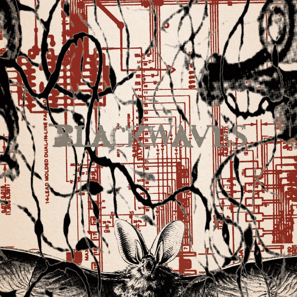 0110 Re-Release | BLCKWVS