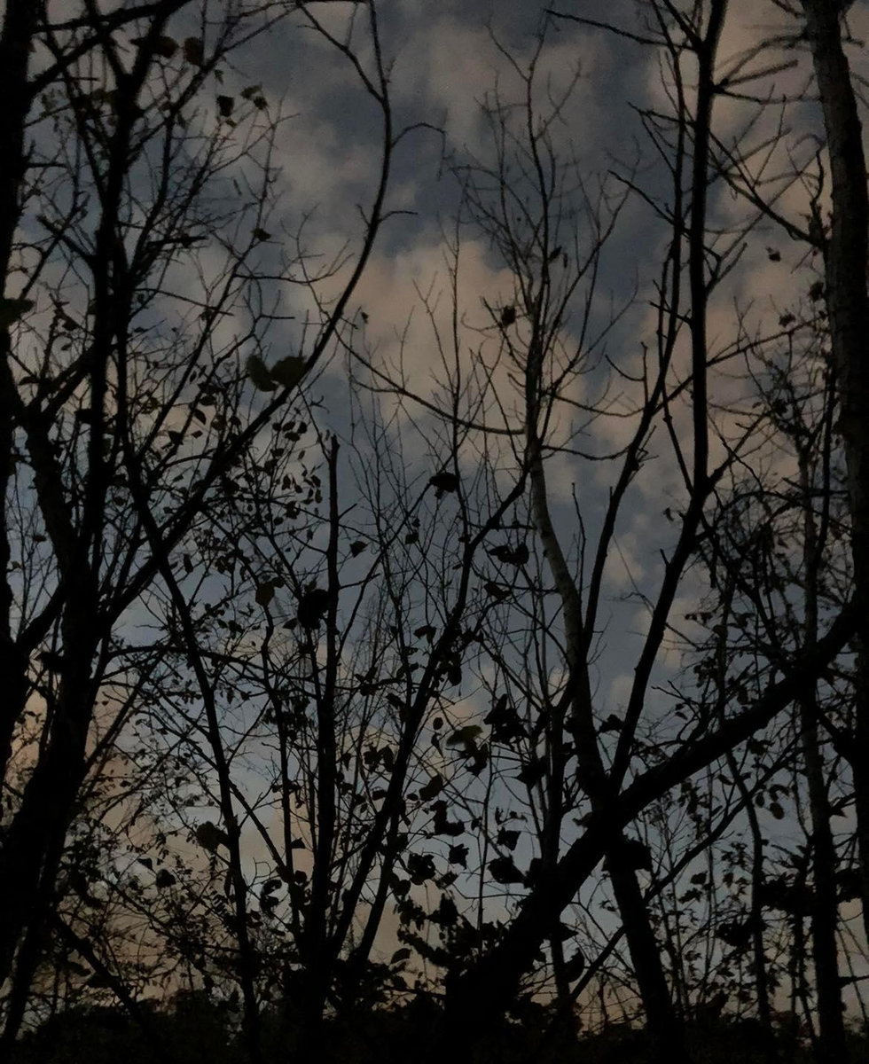 Tom Milsom Covers (Demo) | Hains Point