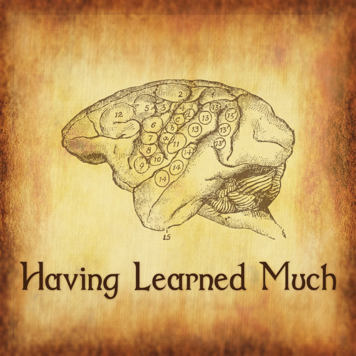 Having Learned Much | Robert Mech