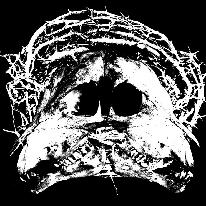 Collection II | Anophthalmia | Palinopsia Recordings