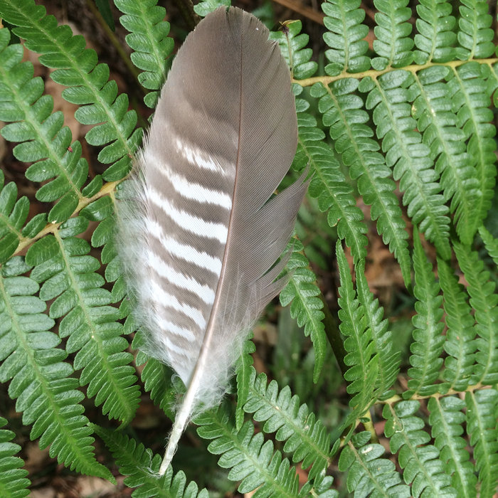 Share your love / Because | Yellingbo