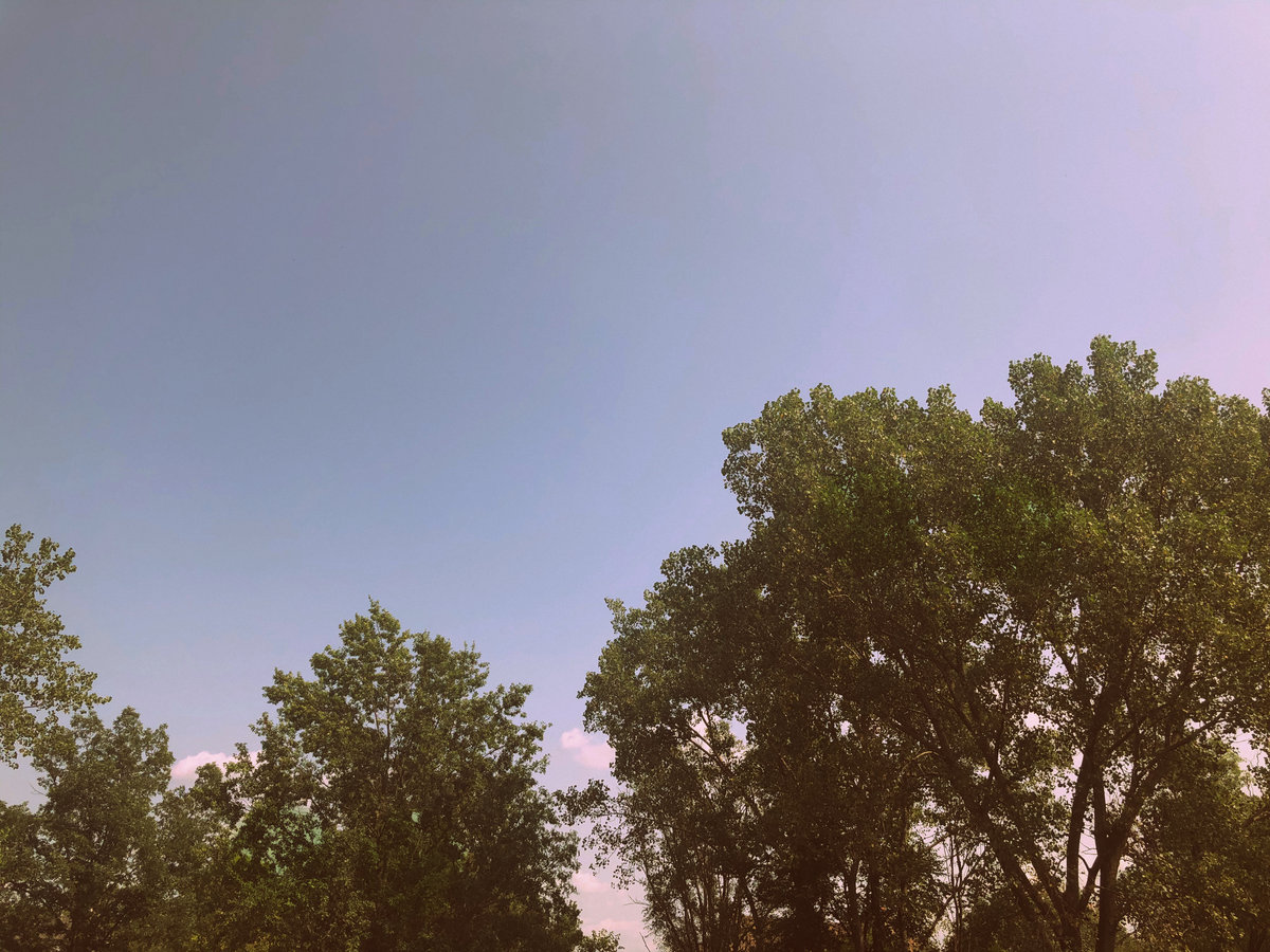 Faces in the Trees | Goop