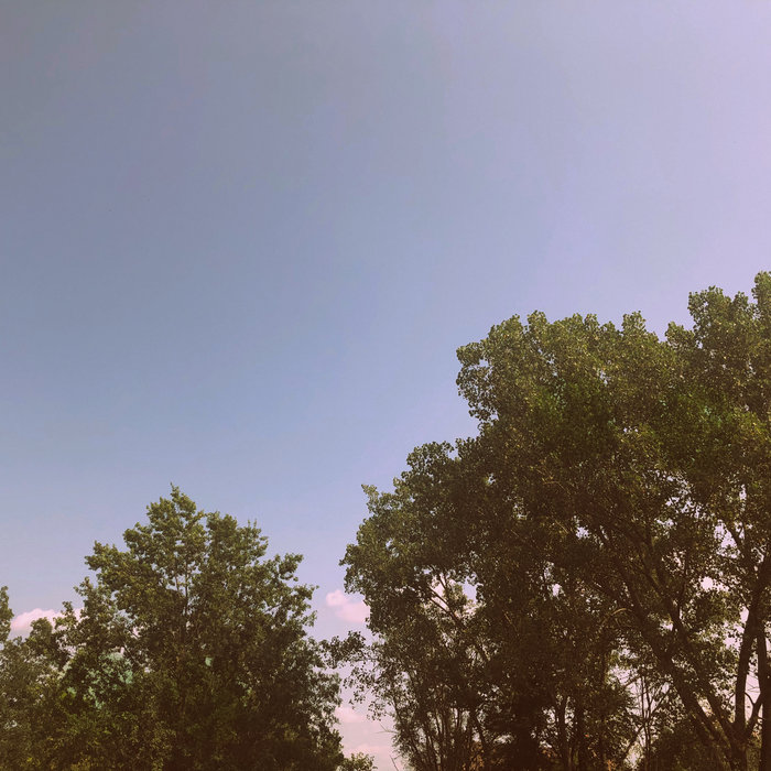 Faces in the Trees | Goop