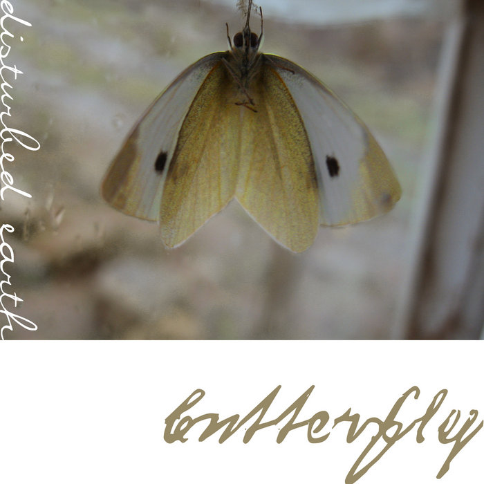 butterfly | Disturbed Earth