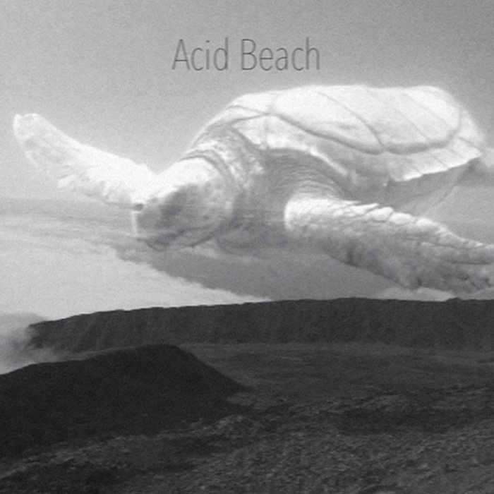 Acid Beach (Demo) - EP | Yoshe Malkus
