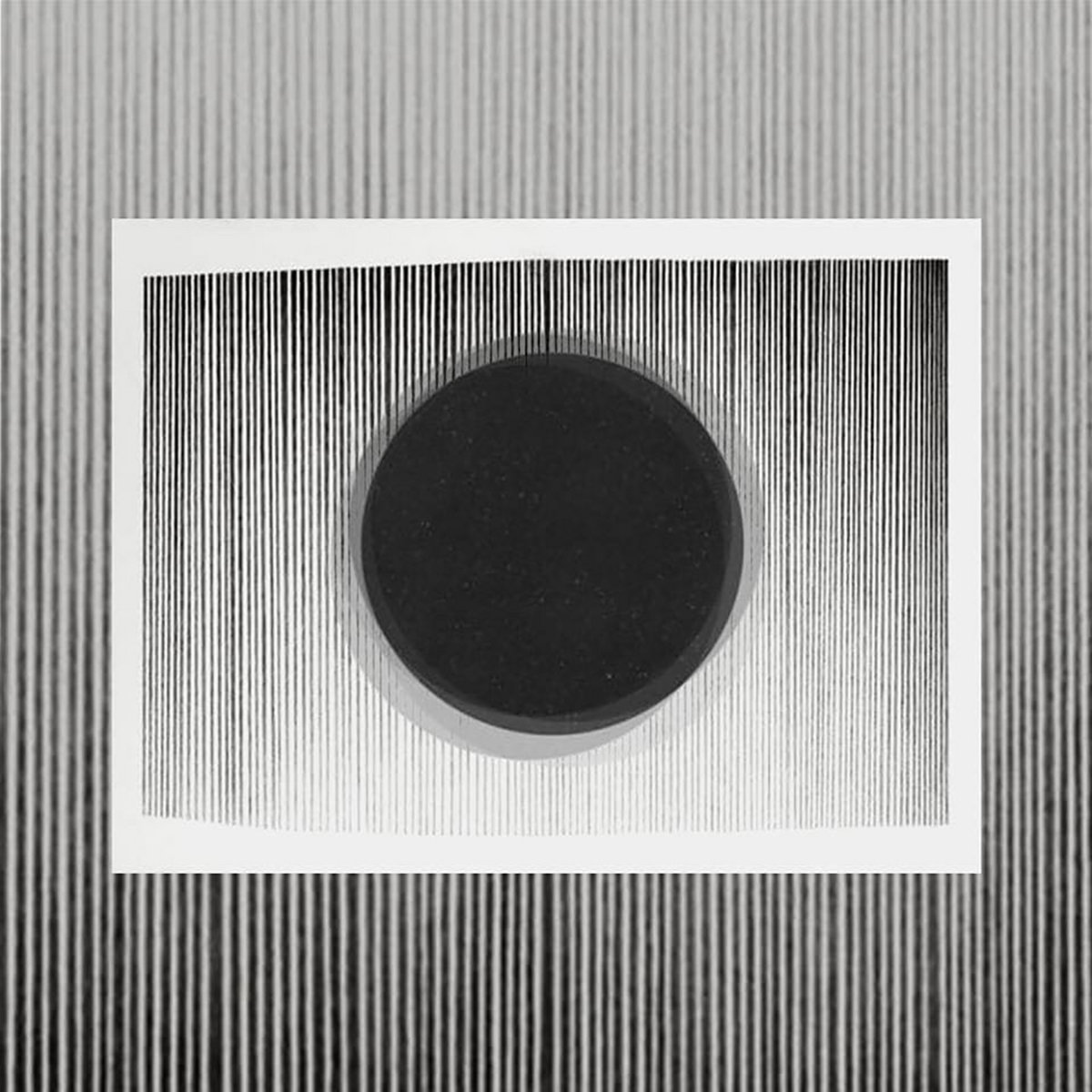 Verneshot | Camilla Pisani