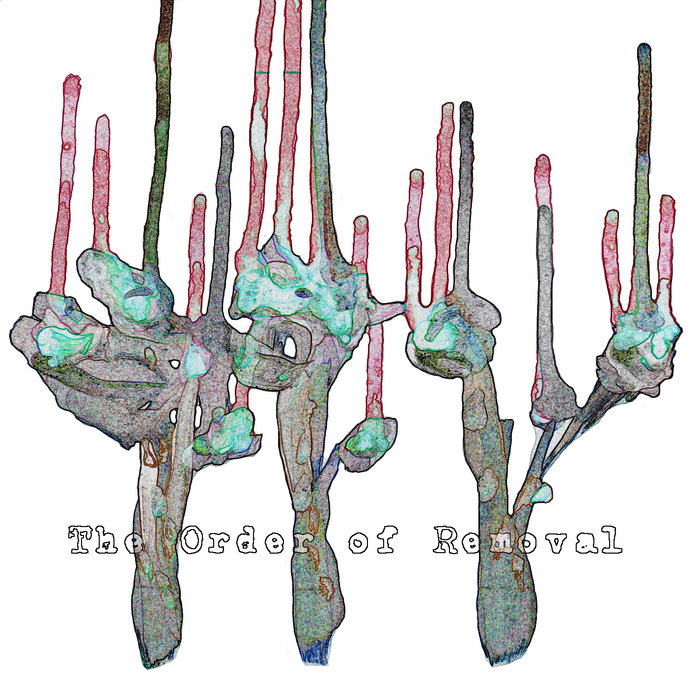 The Order of Removal | The Order of Removal