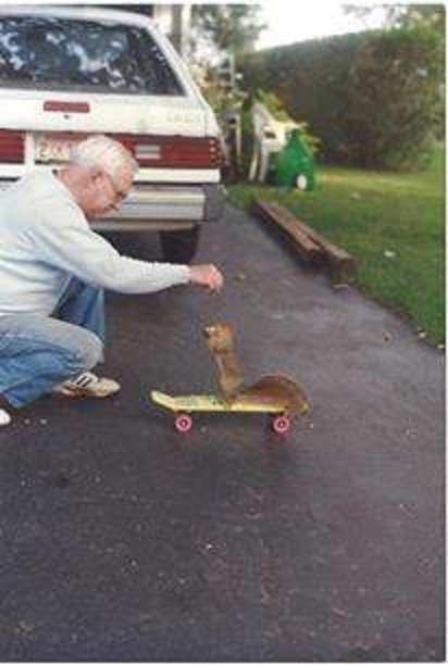 Will & Epitaph | Jack Talbott and the Union