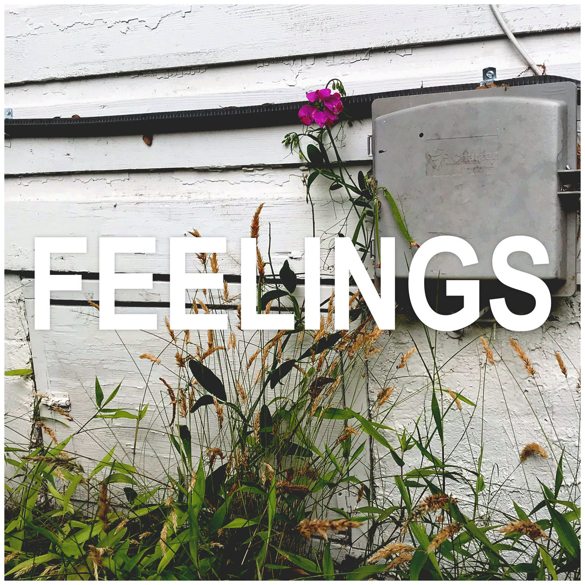 Feelings (Cover) | Maroon 5 Cover Band