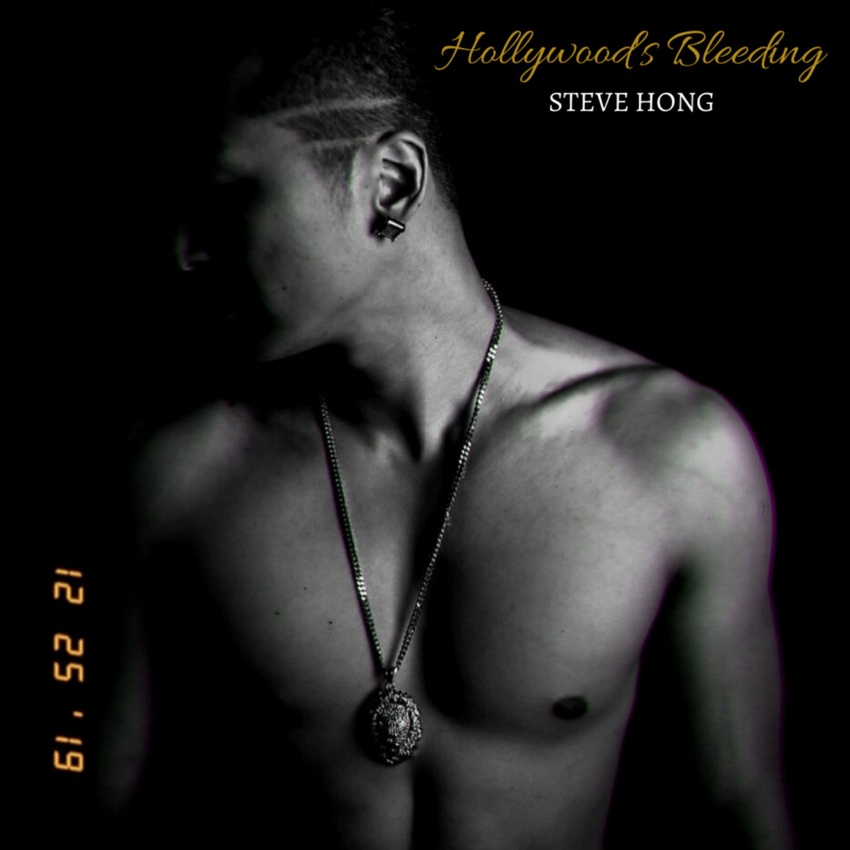 Hollywood's Bleeding (Cover) | Steve Hong