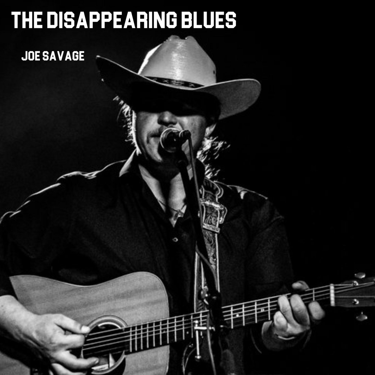 The Disappearing Blues | Joe Savage