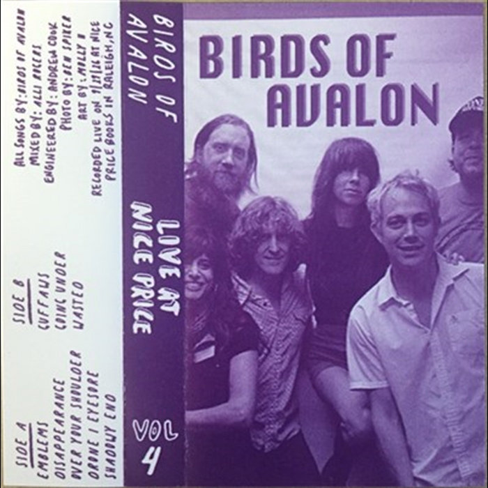 Live At Nice Price Vol 4 | Birds Of Avalon