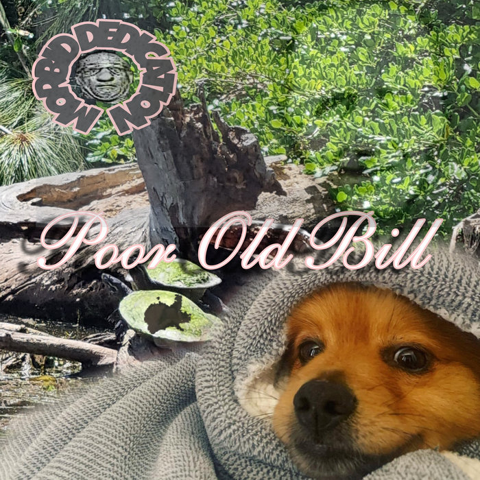 Morbid Dedication | Poor Old Bill