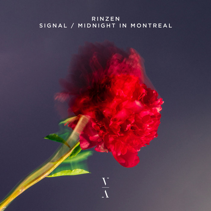 Signal / Midnight in Montreal | Rinzen | This Never Happened